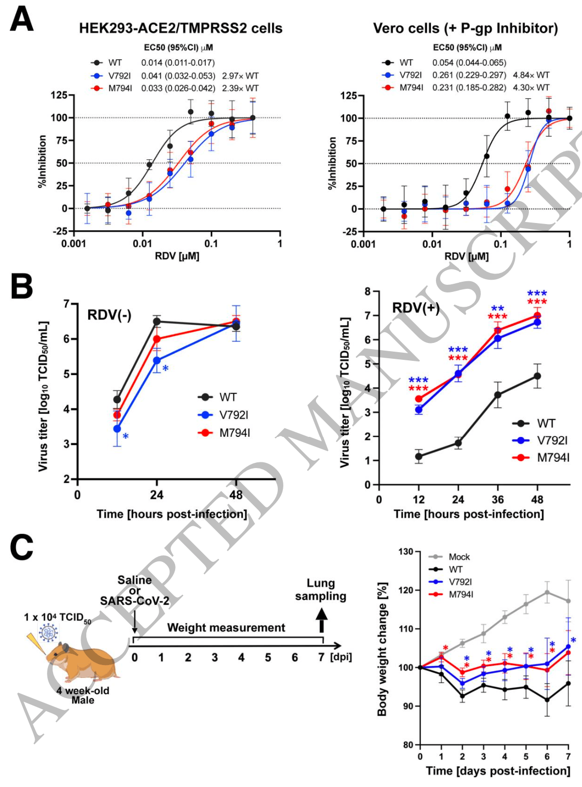 Iriyama: Clinical and molecular landscape of prolonged SARS-CoV-2 ...