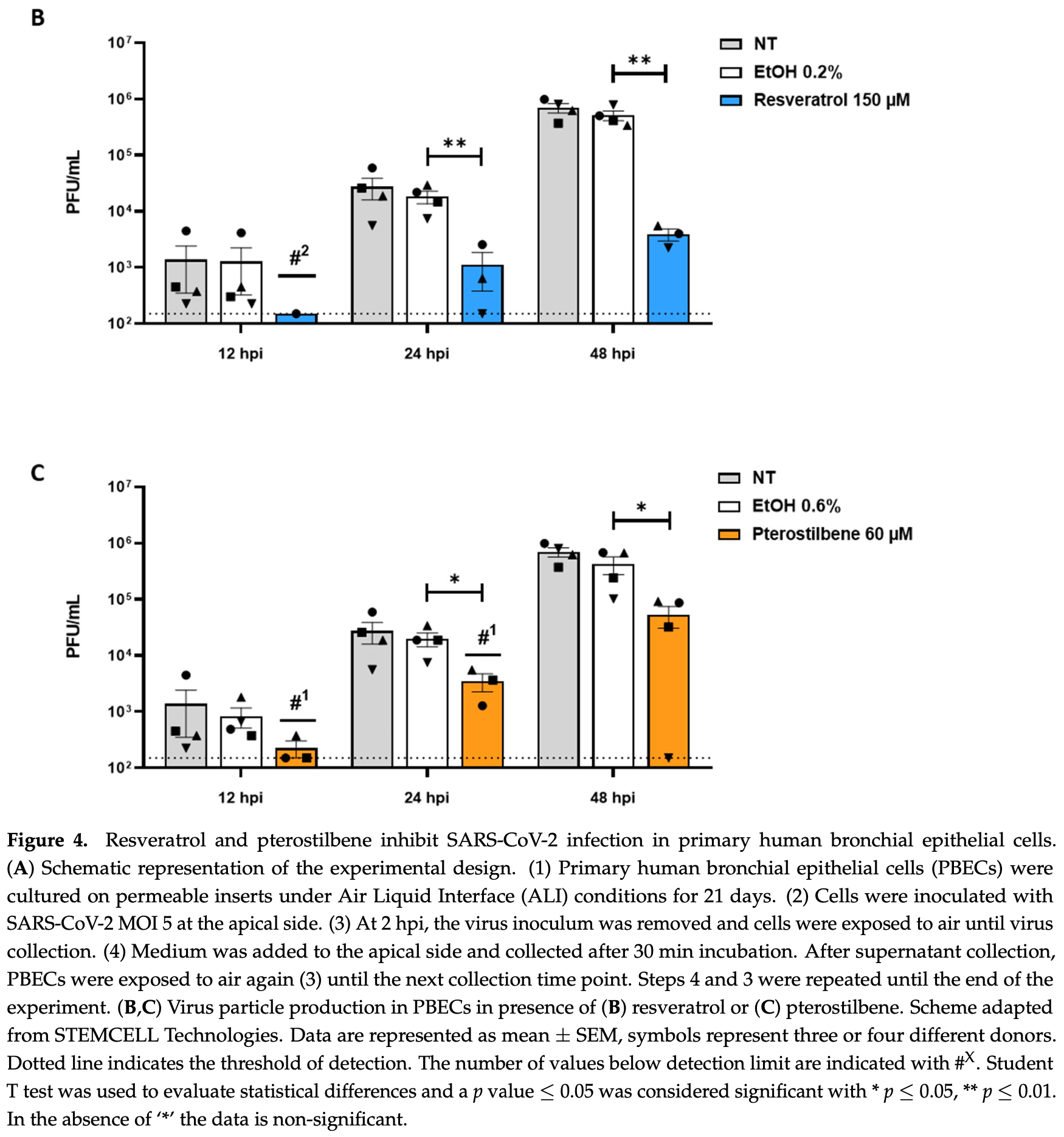 ter Ellen: Resveratrol and Pterostilbene Inhibit SARS-CoV-2 Replication ...