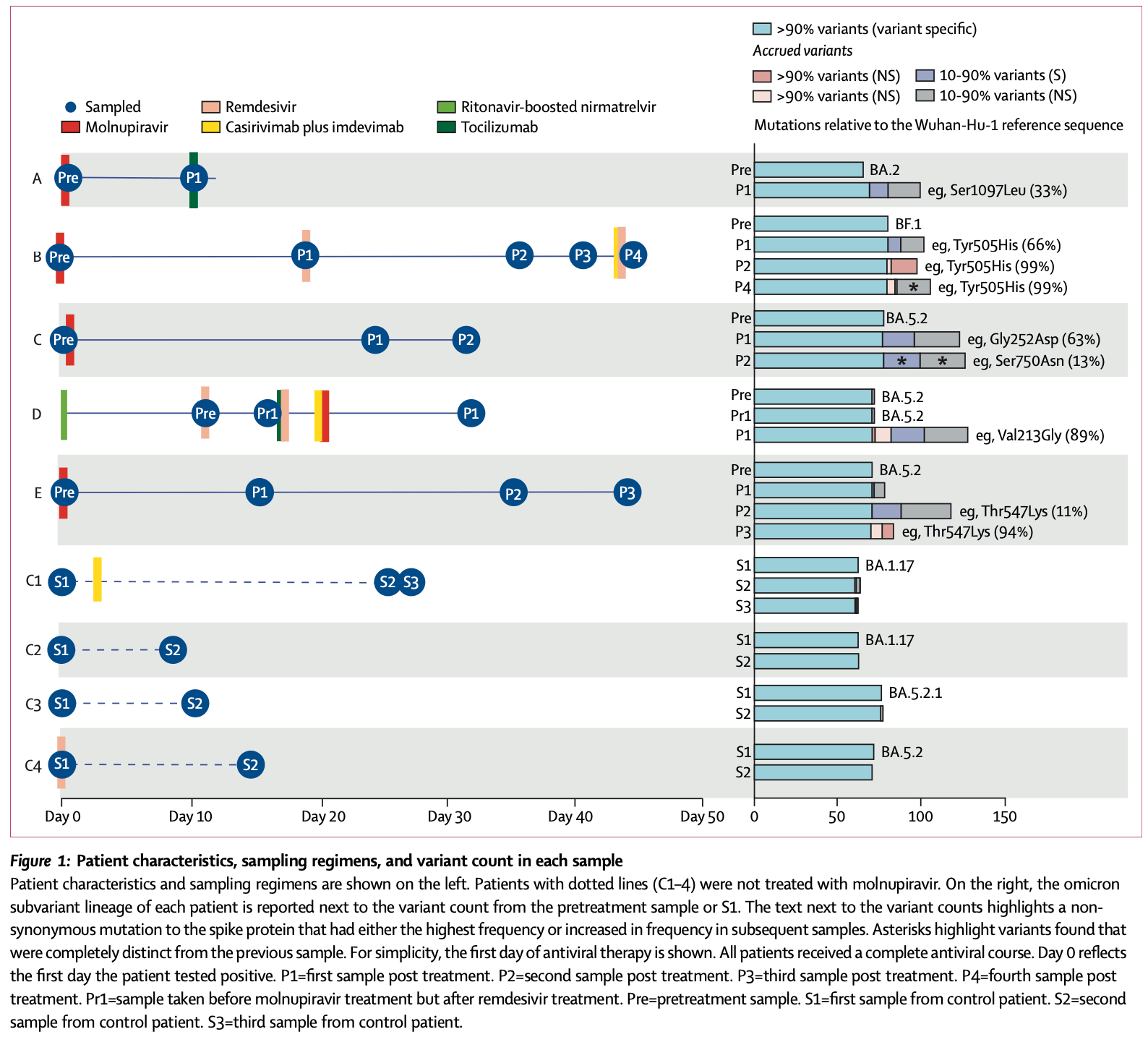 Fountain-Jones: Effect of molnupiravir on SARS-CoV-2 evolution in ...
