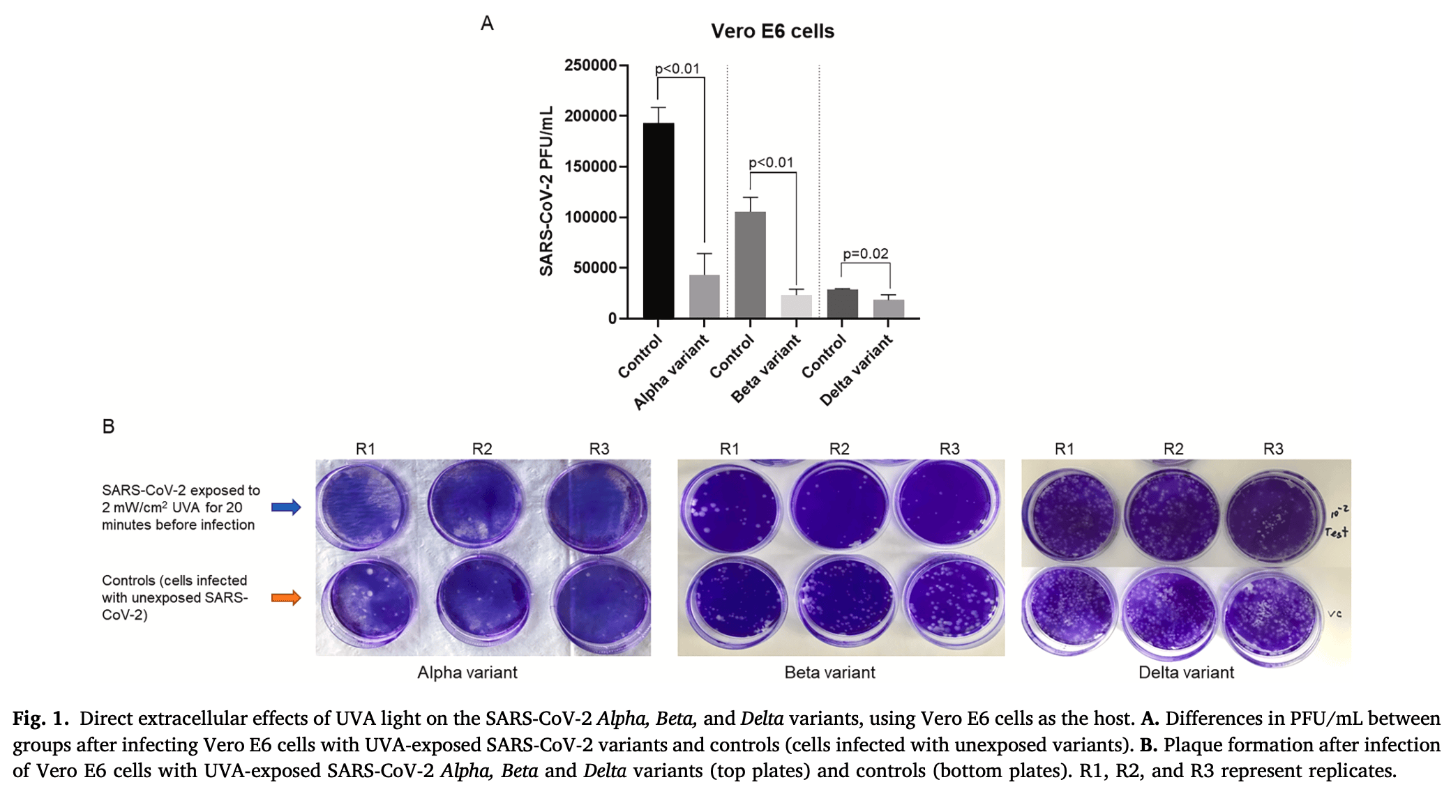 Leite: Extracellular and intracellular antiviral effects of ultraviolet ...