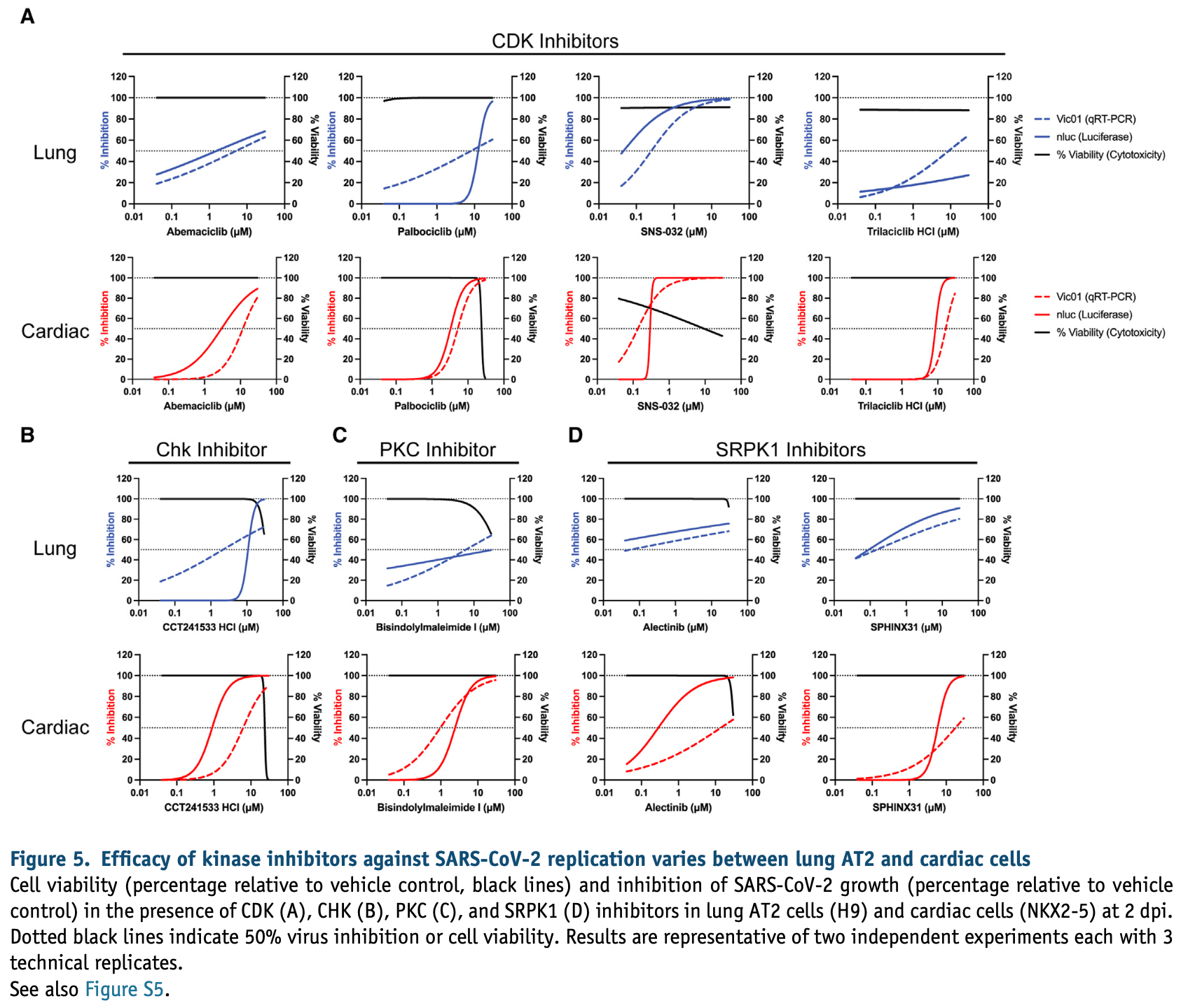 Rudraraju: Parallel use of human stem cell lung and heart models ...
