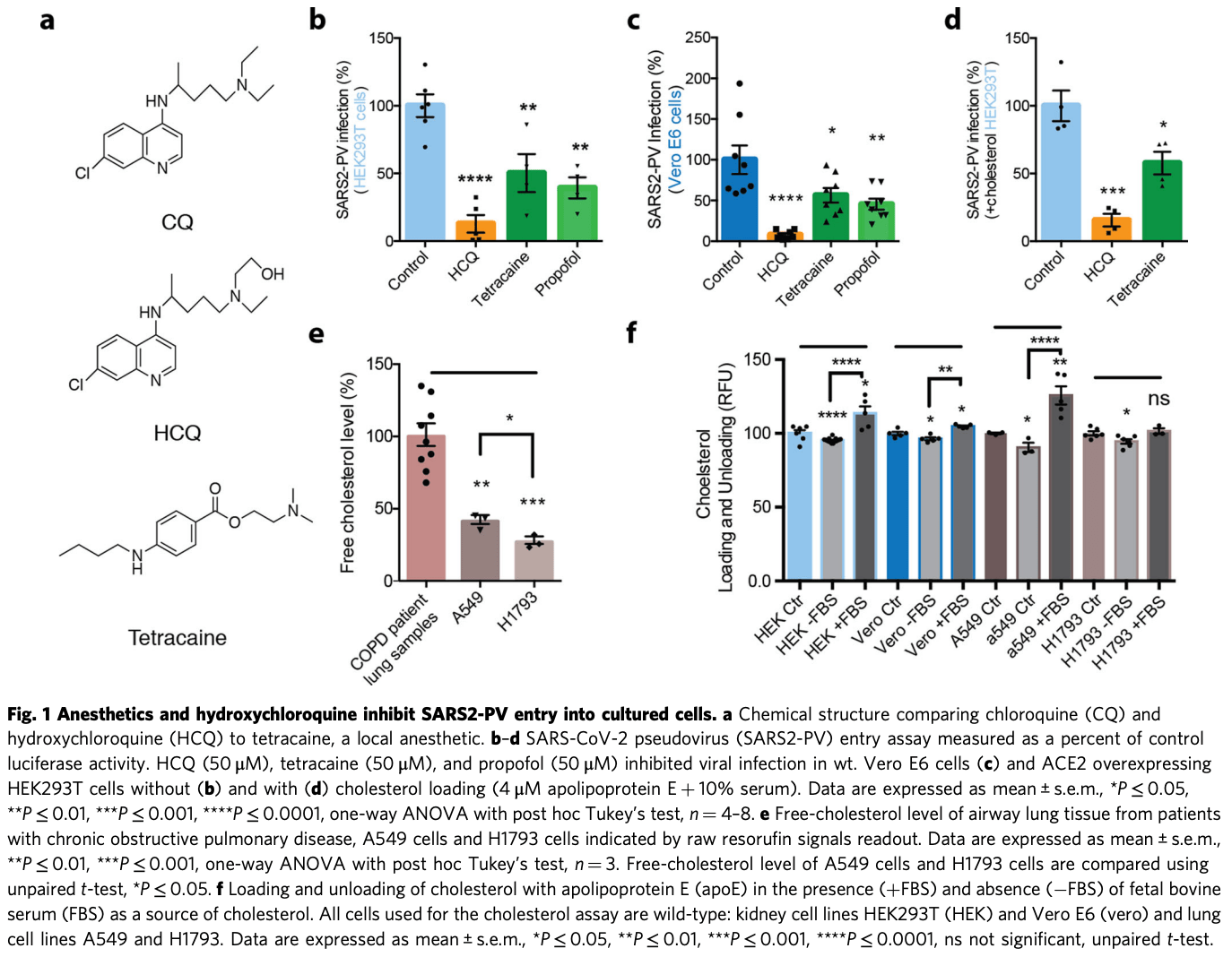 Yuan: Hydroxychloroquine blocks SARS-CoV-2 entry into the endocytic ...