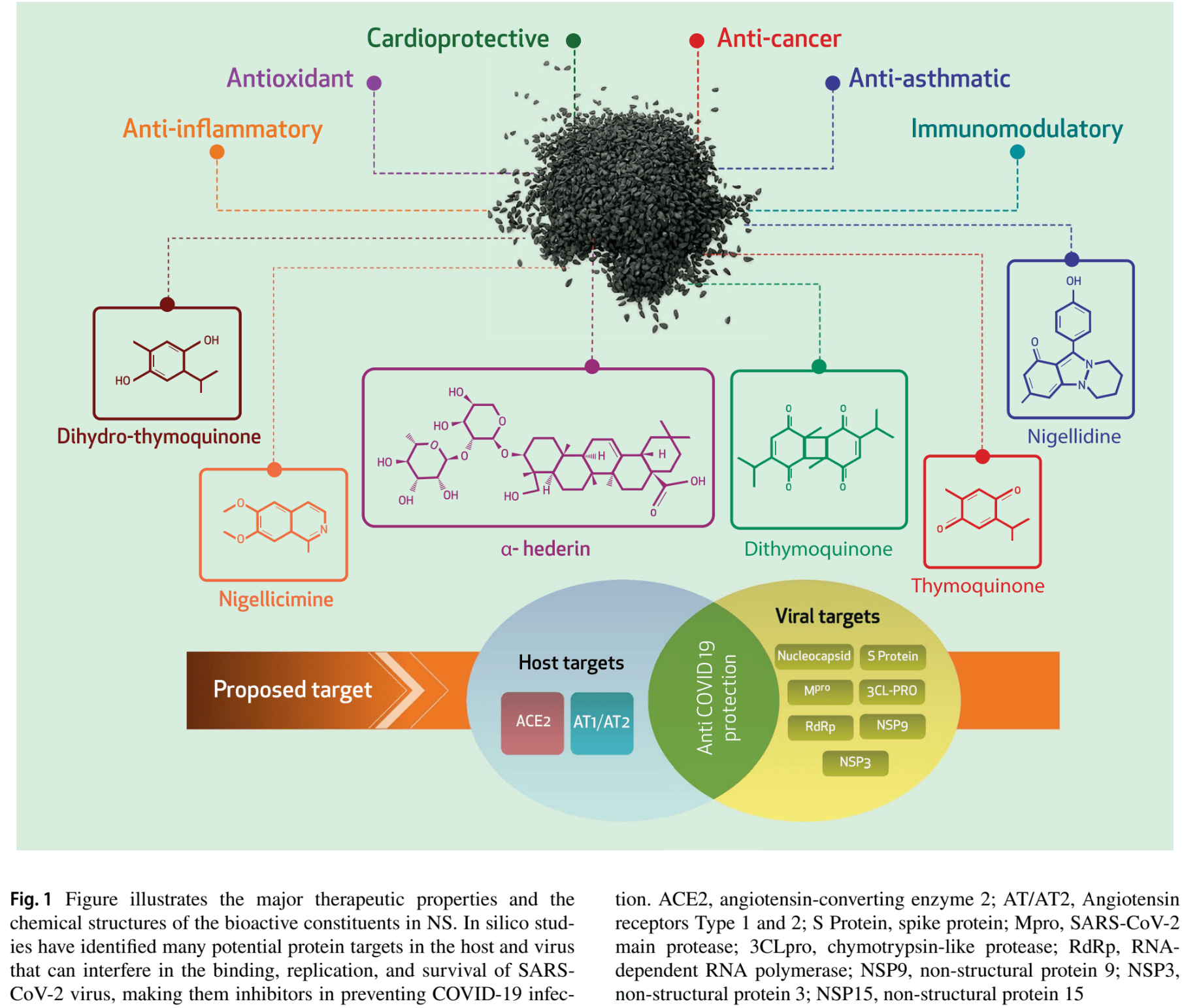 Cyril: Nigella sativa and its chemical constituents: pre-clinical and ...