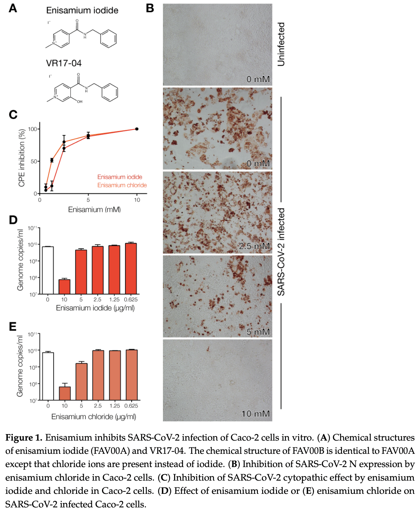 Elli: Enisamium Inhibits SARS-CoV-2 RNA Synthesis
