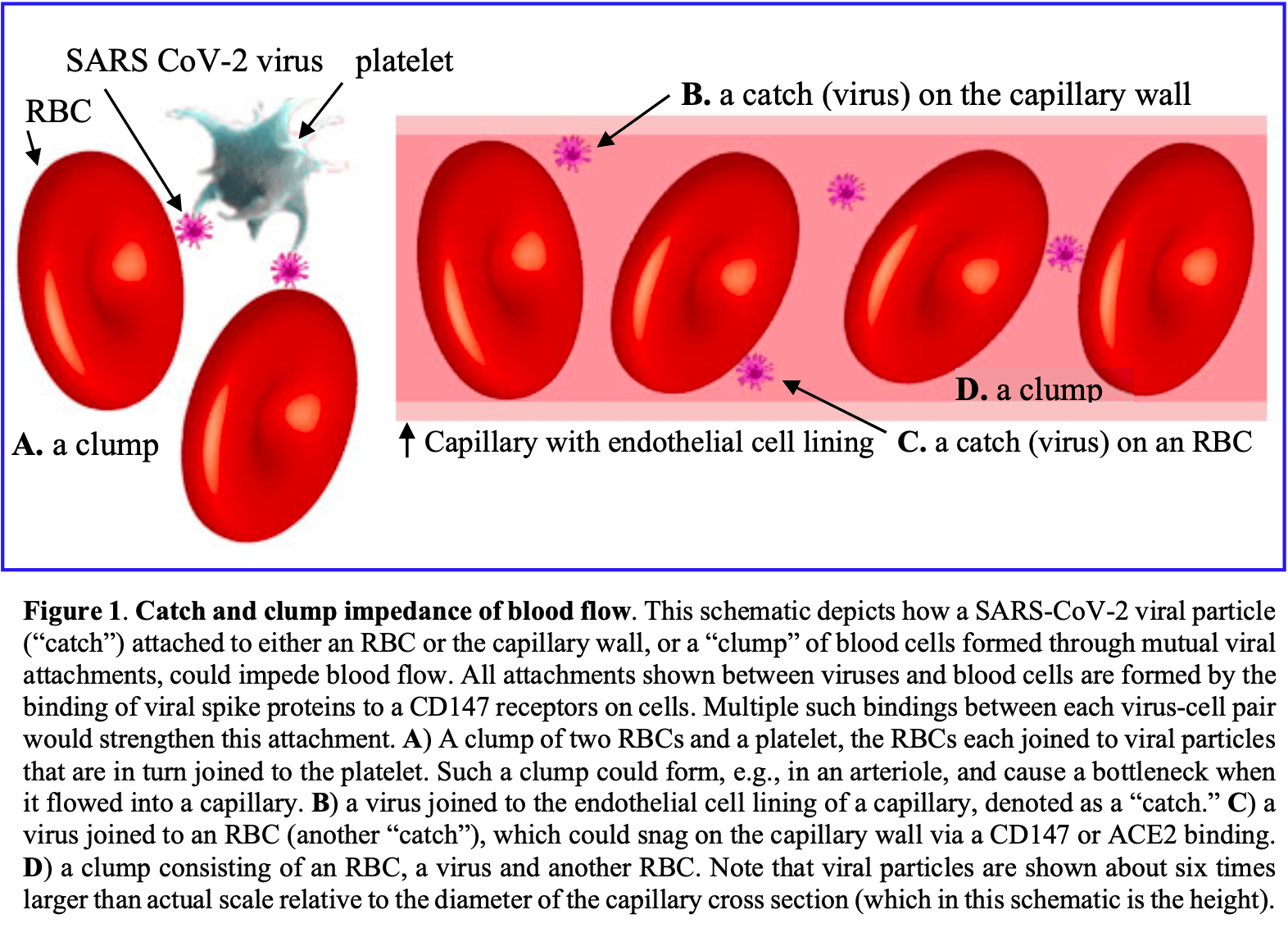 Scheim: Ivermectin for COVID-19 Treatment: Clinical Response at Quasi ...