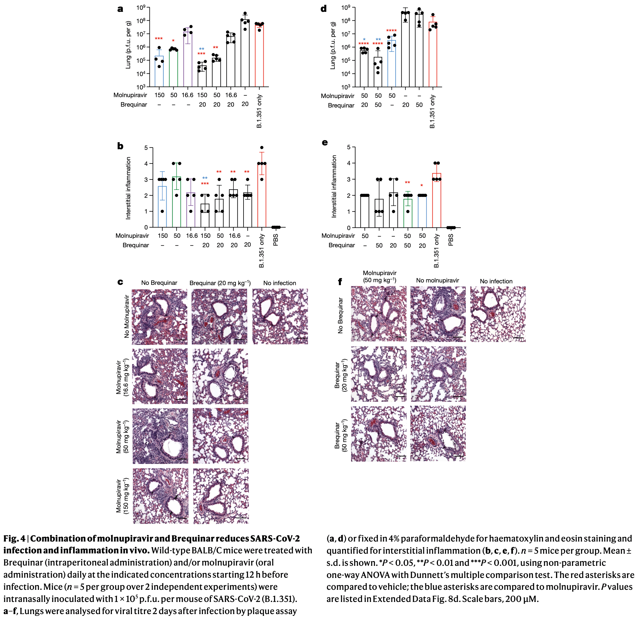 Schultz: Pyrimidine inhibitors synergize with nucleoside analogues to ...
