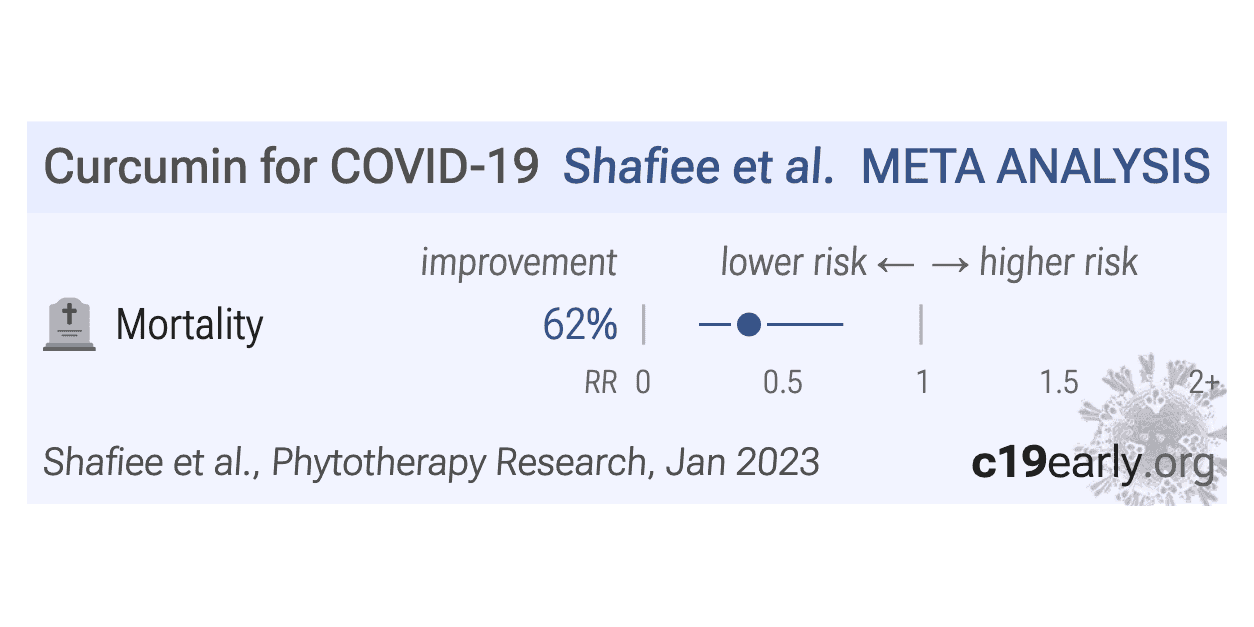 Shafiee: Curcumin for the treatment of COVID-19 patients: A meta ...
